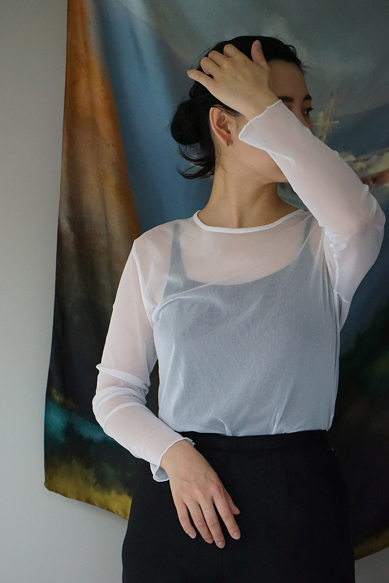 Sheer Long Sleeve Top